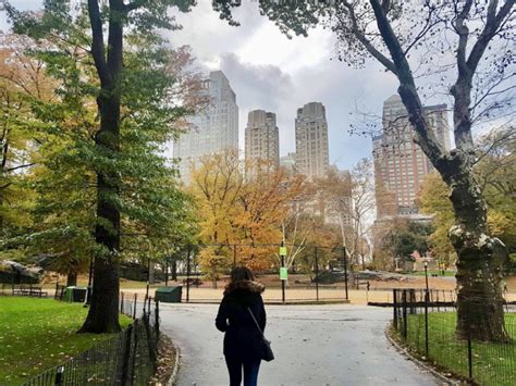 10 Ways To Connect To Urban Nature To Feel Happier And Calmer
