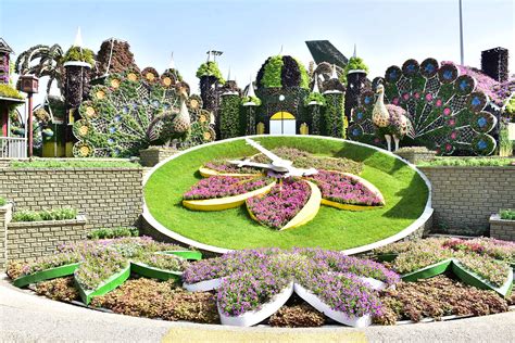Dubai Miracle Garden Holds Out Captivating Bouquet Of New Attractions