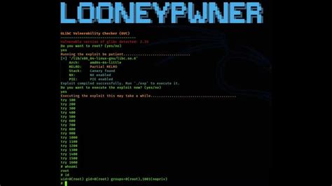 Looneypwner Exploiting The Glibc Looney Tunables Flaw In Linux Cyber Press