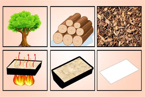 A Step By Step Guide To Making Paper From A Tree