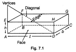 NCERT Class Maths Lab Manual Verify the Algebraic Identity a b ³ a³ b³ a²b ab²