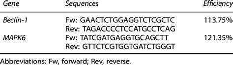 Primer Sequences And Reactions Efficiencies Download Table