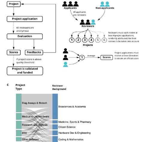overview of the open peer review process a stages of the open peer