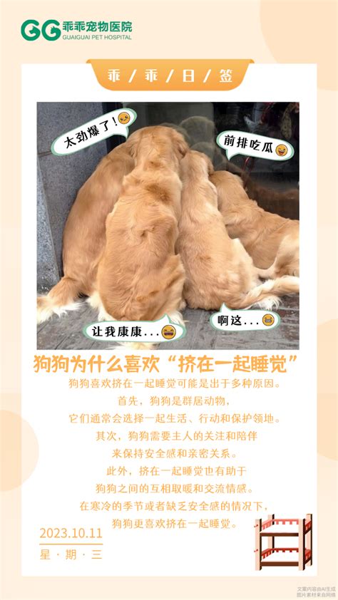 【乖乖日签】🐶狗狗为什么喜欢“挤在一起睡觉”？👨‍👩‍👧‍👦 知乎