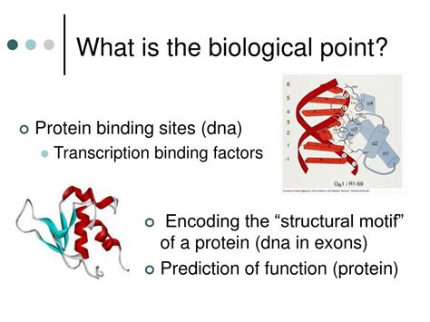 Ppt A Very Basic Gibbs Sampler For Motif Detection Powerpoint