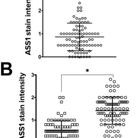 Ass1 Protein Is Expressed In Mesothelioma Samples And Upregulated When