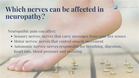 Ppt Neuropathy Causes Symptoms And Treatments Hill Regional Hospital