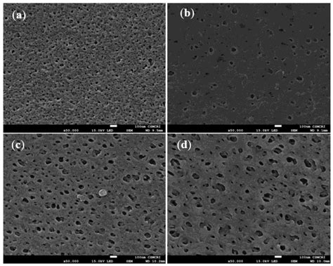 Scanning Electron Microscopy Sem Revealed That Pore Size Is Directly