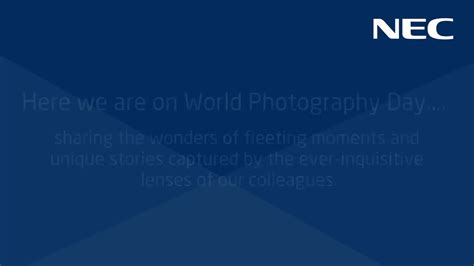 nec software solutions india on linkedin worldphotographyday