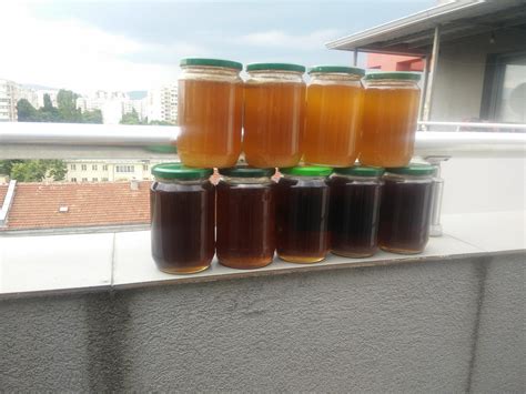 Интересното ИНФО Знаете ли че хората които пият алкохол в умерени