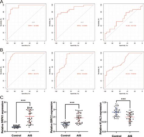 Validation Of Key Genes A Aucroc Values Of Srpk1 Birc2 And Klhl3 Download Scientific