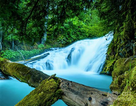 Mckenzie River Waterfall Photograph By Adam Reisman Pixels
