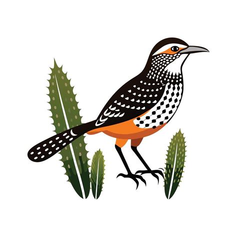 Cactus Wren Bird Silhouette 48266751 Vector Art At Vecteezy