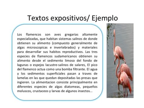 Escuela Primaria Carmen Serdán Quinto Grado Texto Expositivo