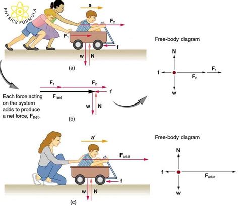 Application Of Vectors In Real Life Karaknoebryant