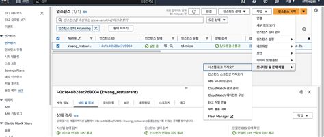 Aws Ec2 상태검사 13개통과