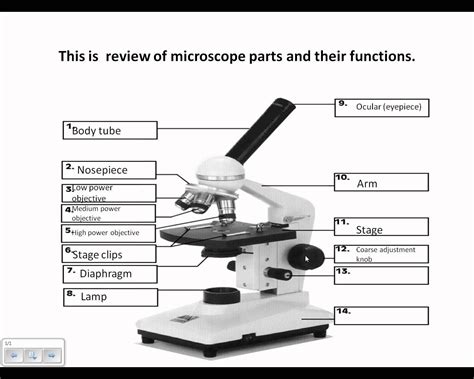Purpose Of The Body Tube On A Microscope Logan Has Mercer