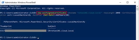 Radius Microsoft Nps Certificate Polarrewa