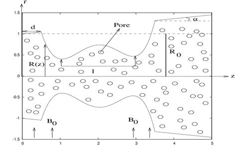 Schematic Diagram Of The Model Geometry Download Scientific Diagram