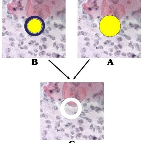 Flowchart Of Esp Control Strategy Download Scientific Diagram