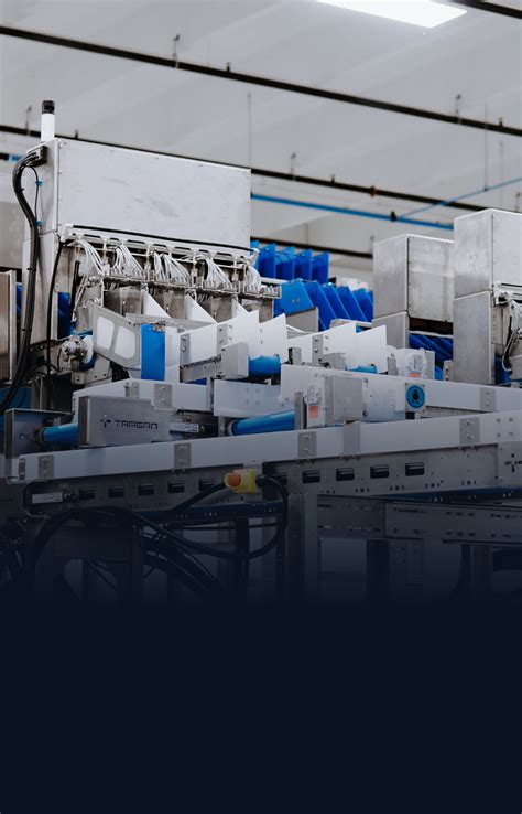 Wingscan Feather Sexing For Broiler Birds Powered By Ai Technology