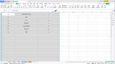 Wps表格怎么让列宽自动适应文字 Wps表格使列宽自动调整的方法教程 极光下载站