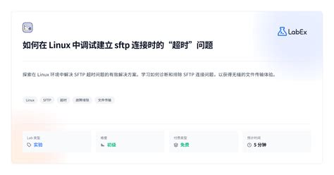 如何在 Linux 中调试建立 Sftp 连接时的 超时”问题 Labex