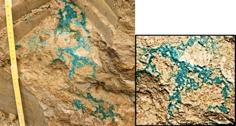 Bb4 Dye Tracer Experiment Showing The Only Finding Of Significant Download Scientific Diagram