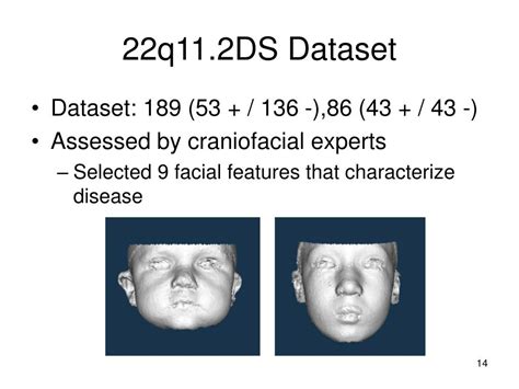 Ppt 3d Shape Analysis For Quantification Classification And Retrieval Powerpoint Presentation