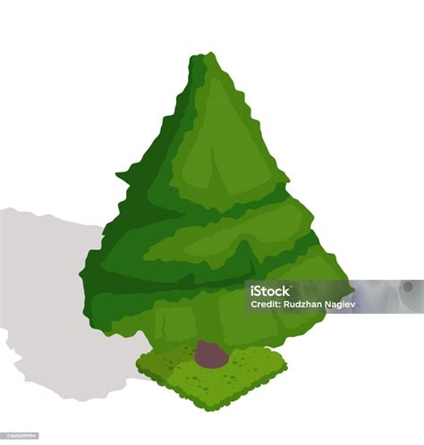 아이소 메트릭 녹색 나무 바늘이 있는 상록 소나무가 있는 아이콘입니다 야생 숲 가문비 나무 또는 전나무 공원 풍경을 위한 식물 자연과 환경 만화 3d 벡터 일러스트 레이 션