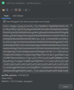 BLOB Data Type Everything You Can Do With It