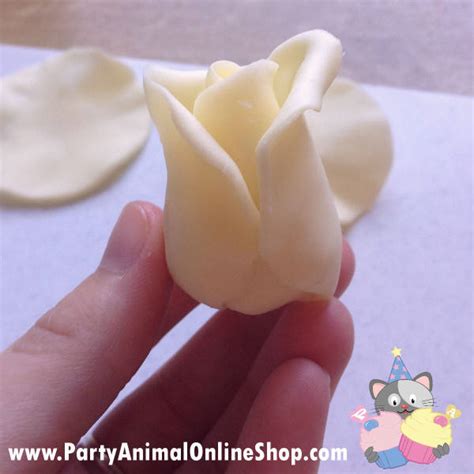 Making A Rose With White Chocolate Modelling Paste Cakesdecor