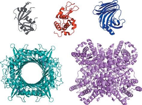 Figure 1 From A Round Robin Approach Provides A Detailed Assessment Of Biomolecular Small Angle