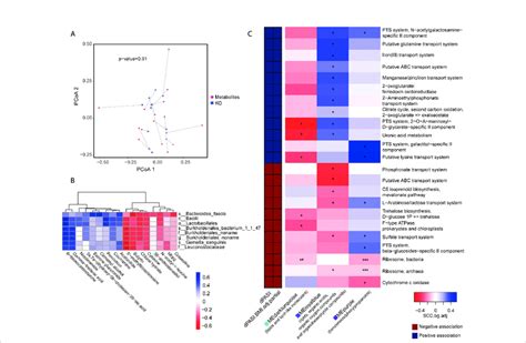 Association Of Metabolomic And Metagenomic Data In Baseline Samples