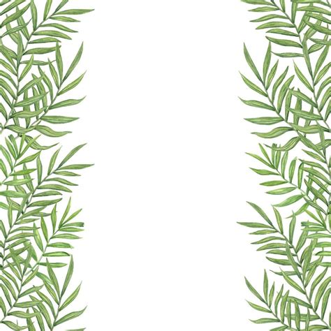 Green Dypsis Areca Palm Or Cycas Leaves Vertical Border With Empty