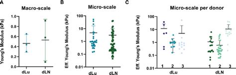 Modelling Metastatic Colonization Of Cholangiocarcinoma Organoids In Decellularized Lung And