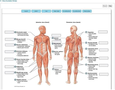 Solved Part B - Choosing Exercises for Various | Chegg.com