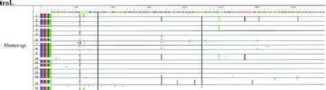 Multiple Sequences Alignment MSA Example Of Species Variation From Download Scientific