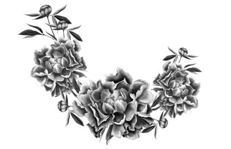Florals On Behance