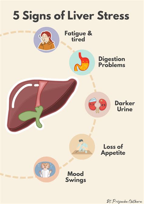 How Liver Stress Affects Health Priyanka Chitkara Posted On The Topic