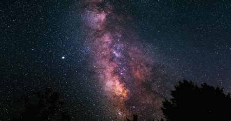 Ocellus Lucanus New Look At Psychedelic Classic The Static Dive