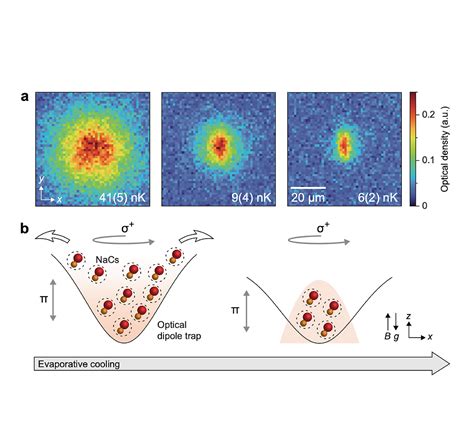 Bose Einstein Condensate Of Dipolar Molecules Will Lab