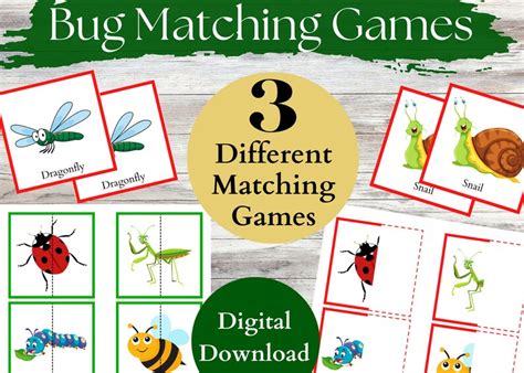 Bug Matching Memory Games Sensory Bin Games Learning Activities