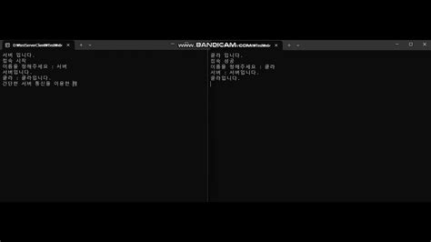 C 서버 클라 채팅 구현 Youtube