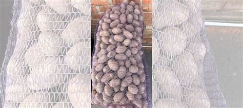 Семенной картофель купить в Выселках по низкой цене Товары для дома и дачи Авито