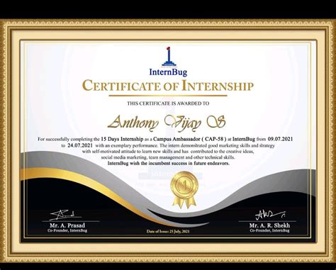 I Had Successfully Completed My Internship In Internbug My Great Journey I Got First 🥇🥇🥇