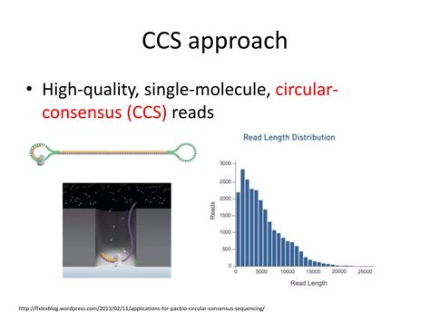 applied bioinformatics journal club pacbio rna seq ppt free download