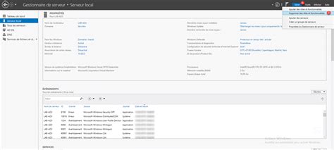 Remove Active Directory Domain Services Zalana