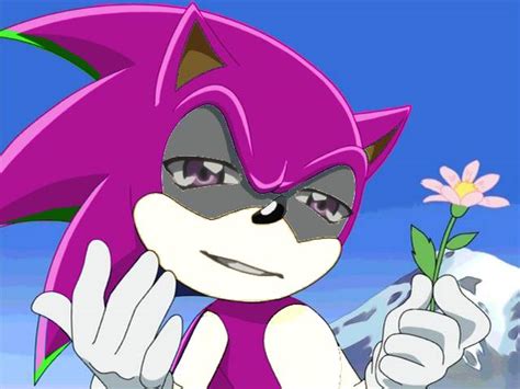 Sexiest OC Ever Sonic Original Characters Know Your Meme