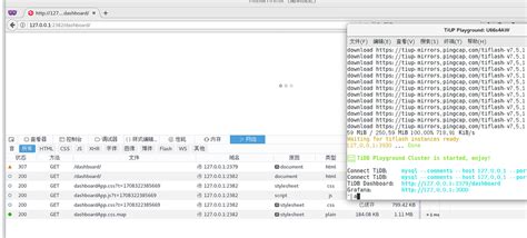 tiup本地测试集群安装后tidb dashboard页面加载不出来，接口也没有错误 tidb 的问答社区